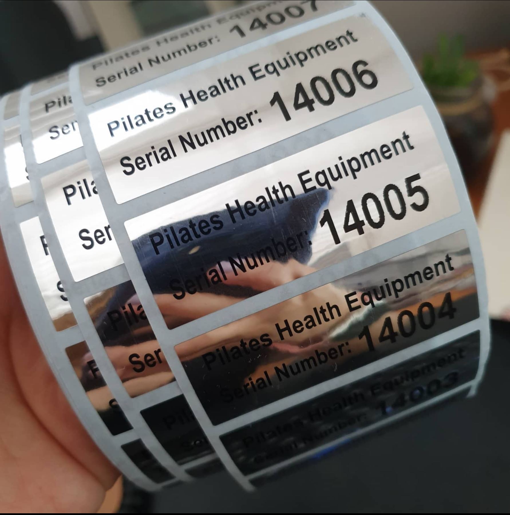 Sequentially Numbered Stickers | Sticker Prints